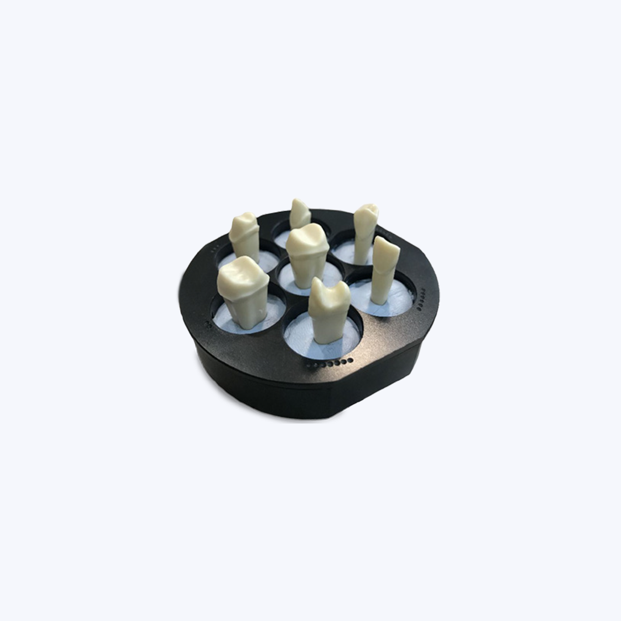 Multi-die Fixture – 3DBioCAD
